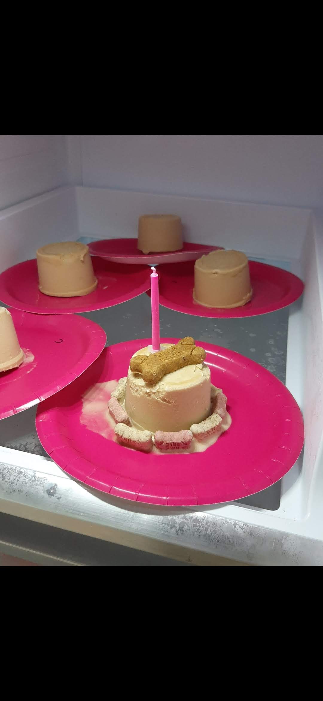 Newest Raborns on the Block!: Lucy Cove Raborn Growth Updates!