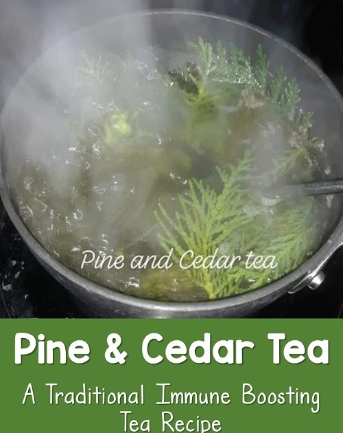 Kelly's Classroom Online: Native American - Indigenous Immune Boosting ...