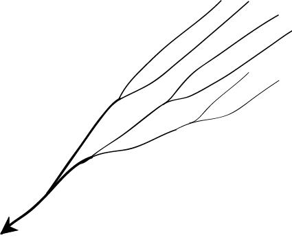 Classification of Drainage Patterns | Geology Page
