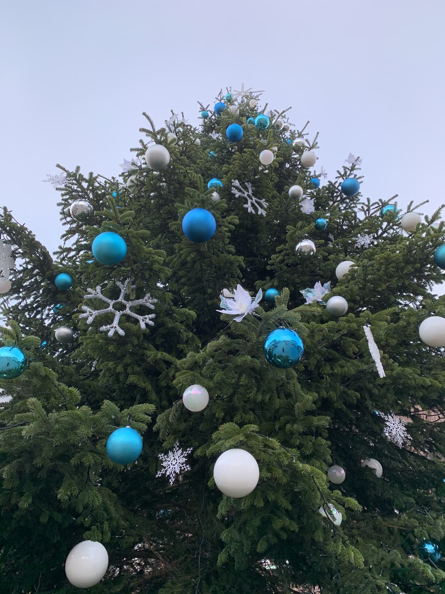 Destination Lund Sweden: Tourism, history and culture: Christmas trees ...