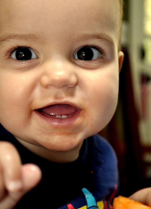 Family of Fish: Weeping and gnashing of teeth