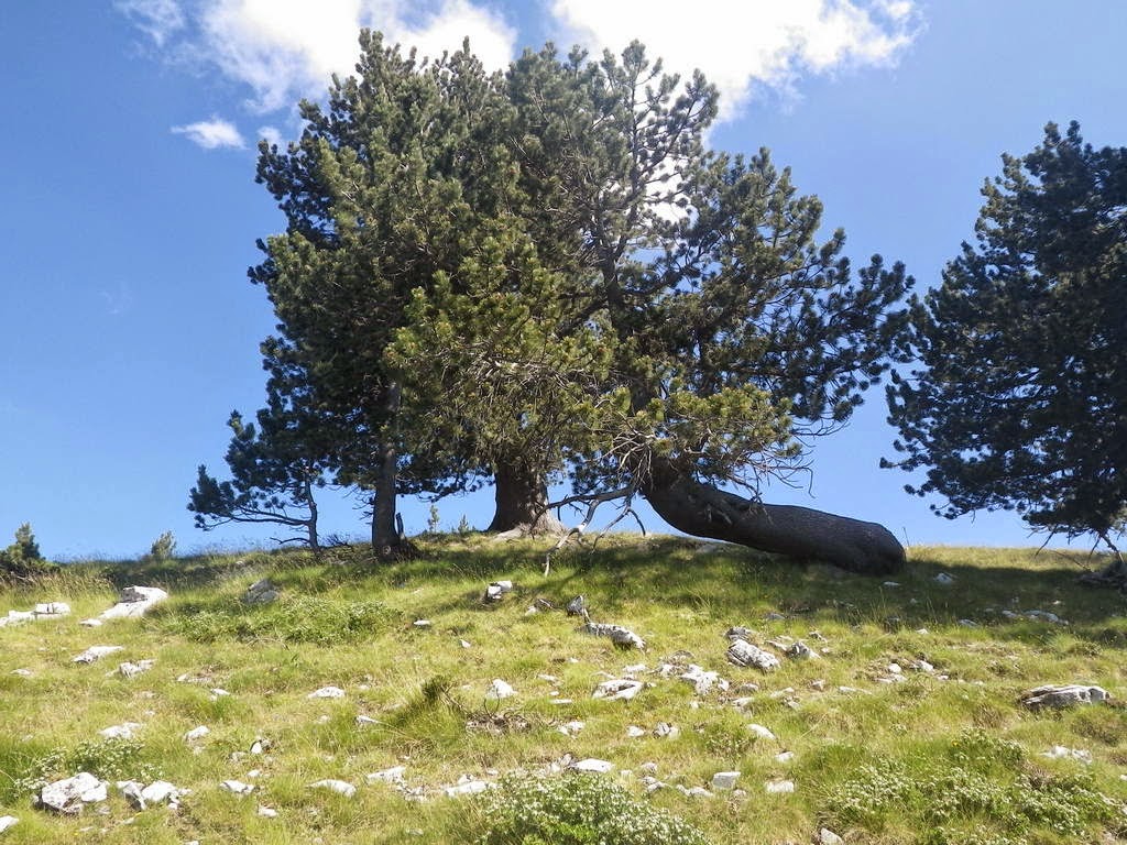 EXPLORE MOUNTAINS: ΟΛΥΜΠΟΣ ... ΣΤΟ ΒΟΥΝΟ ΤΩΝ ΘΕΩΝ ΚΑΙ ΤΩΝ ΘΝΗΤΩΝ...