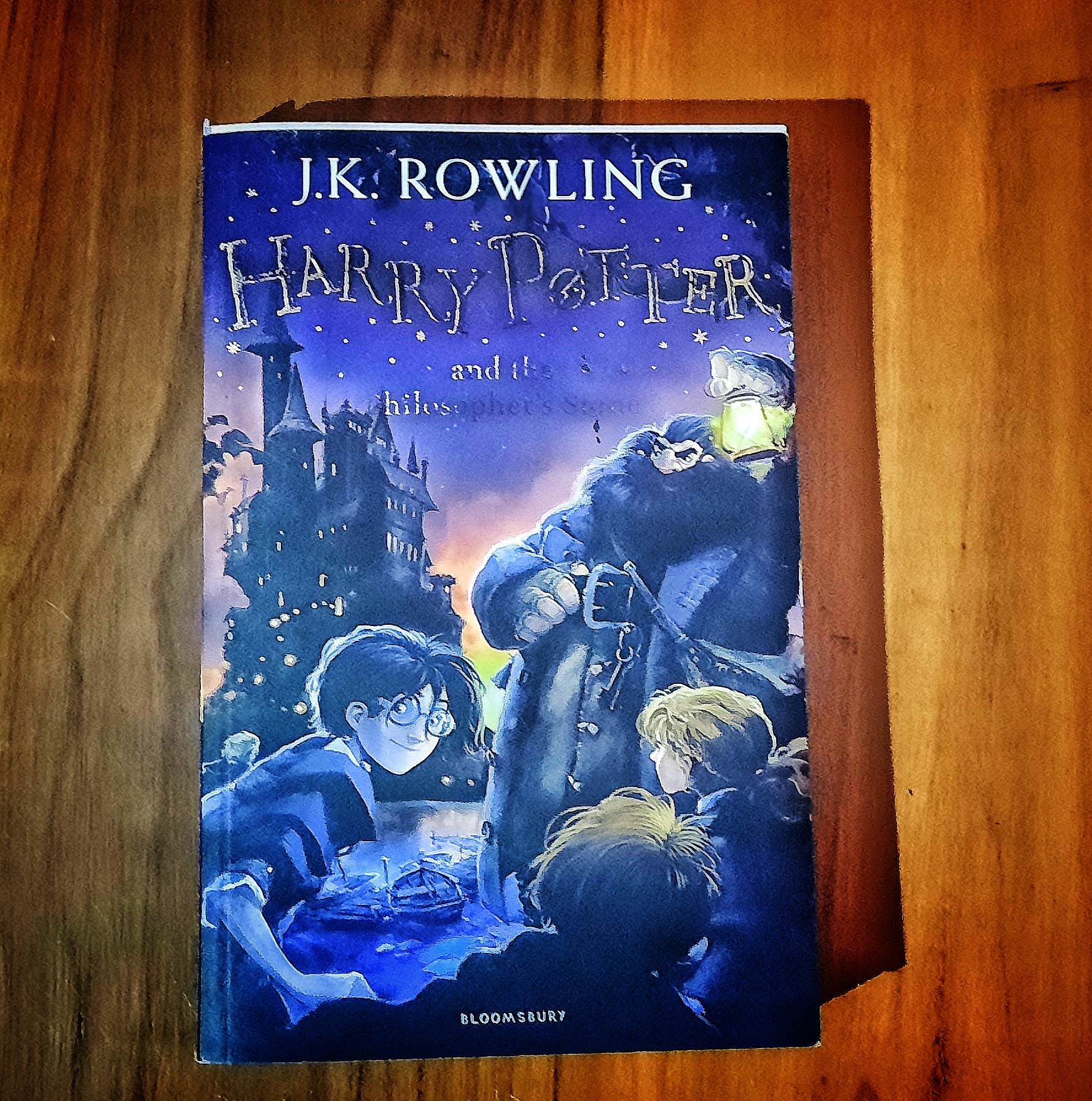 Harry Potter and the Philosopher's stone. A book review. ~ the GIN