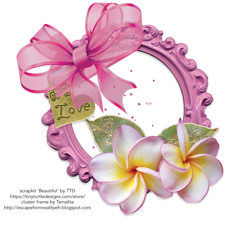 Escape From Reality Blog: FTU Cluster Frames 'Beautiful' TTD