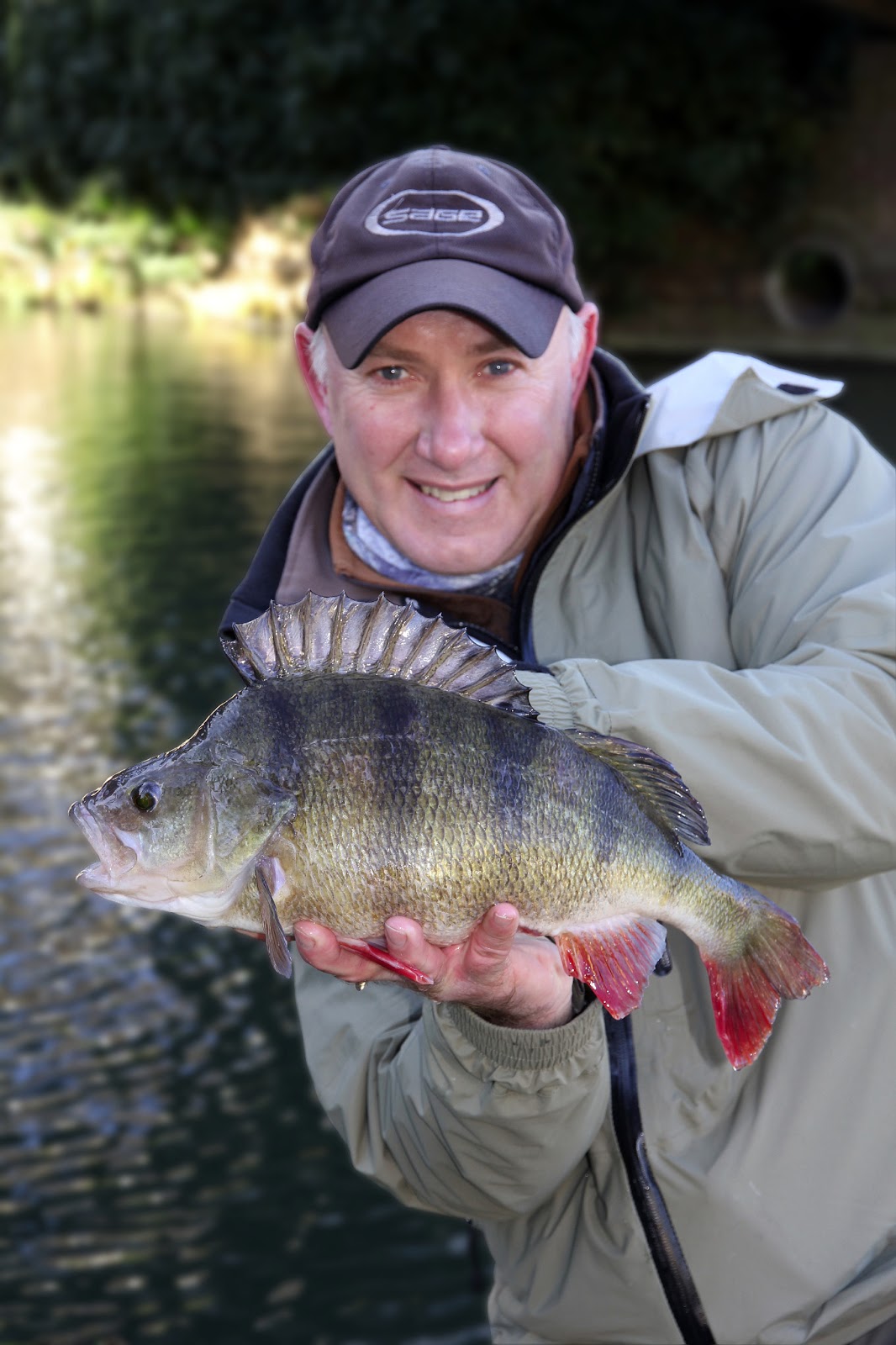Sam Edmonds Fishing Blog: Perch in the Snow