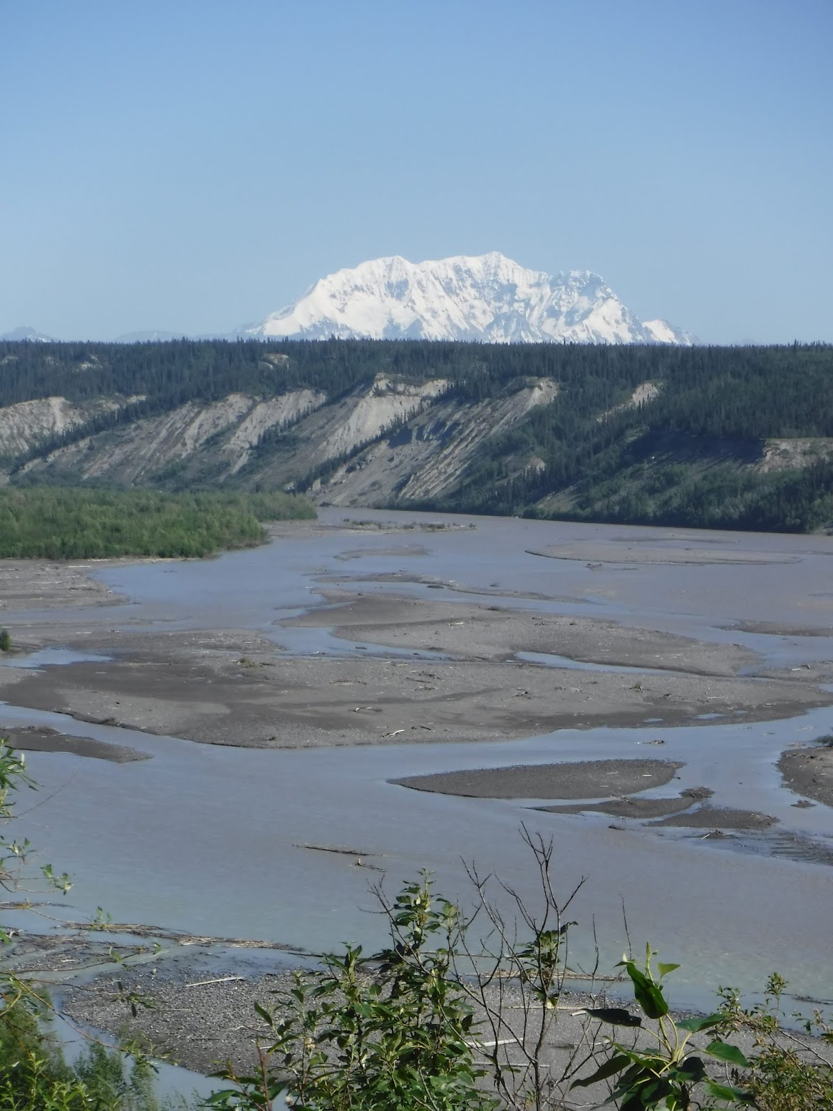 Dave'n'Kathy's Vagabond Blog: Invasion of the Salmon Snatchers!