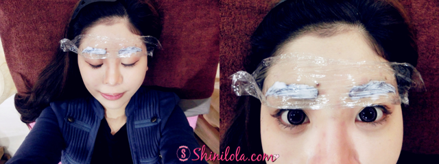 Floating Eyebrow Embroidery @ E Image — SHINI LOLA | Your Guide to ...