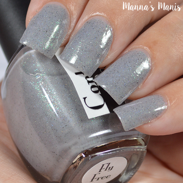 The Color Box: Grey ALL The Things Review & Giveaway! - Manna's Manis