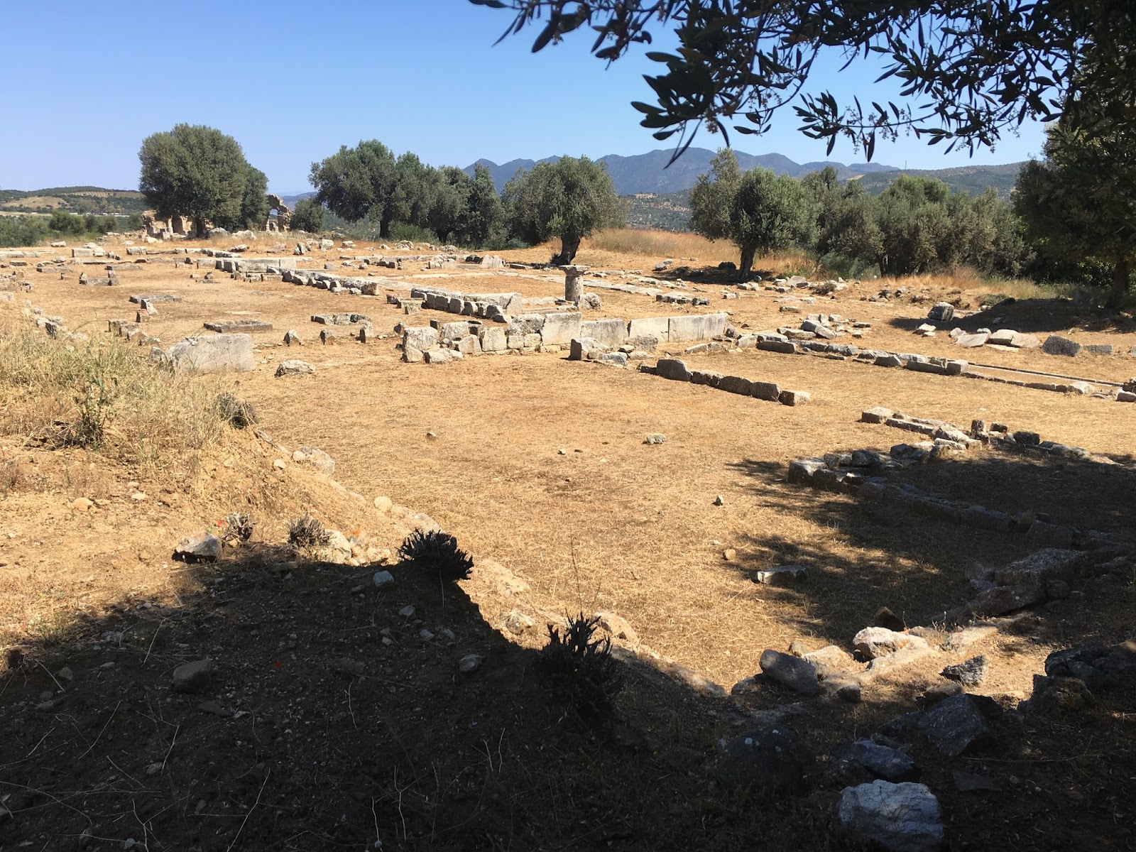 Lauren & Randall Wander Through Greece: Trizina (Troezen)