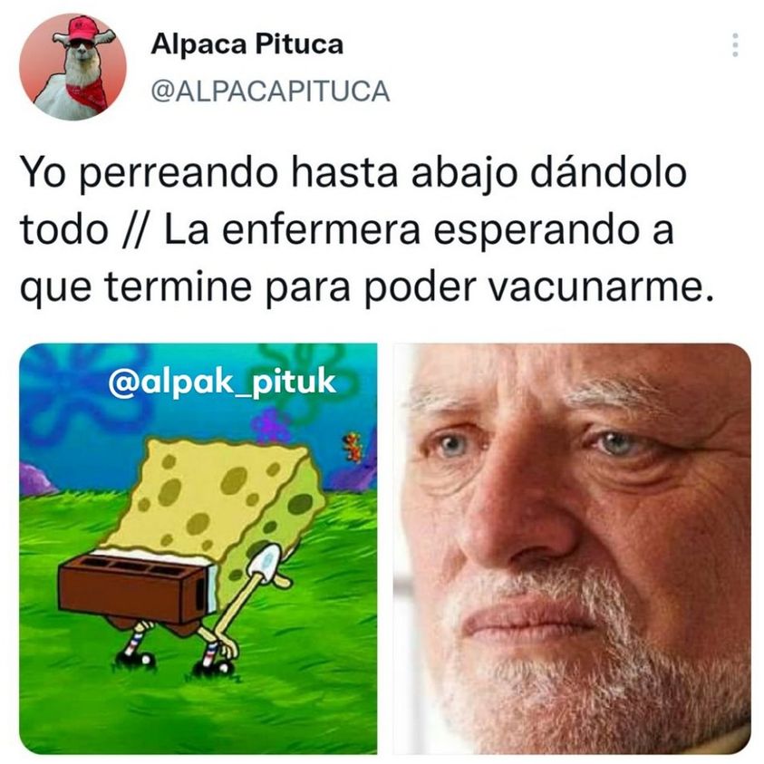 Equipo Alpha: Meme 04/10: Yo perreando hasta abajo dándolo todo