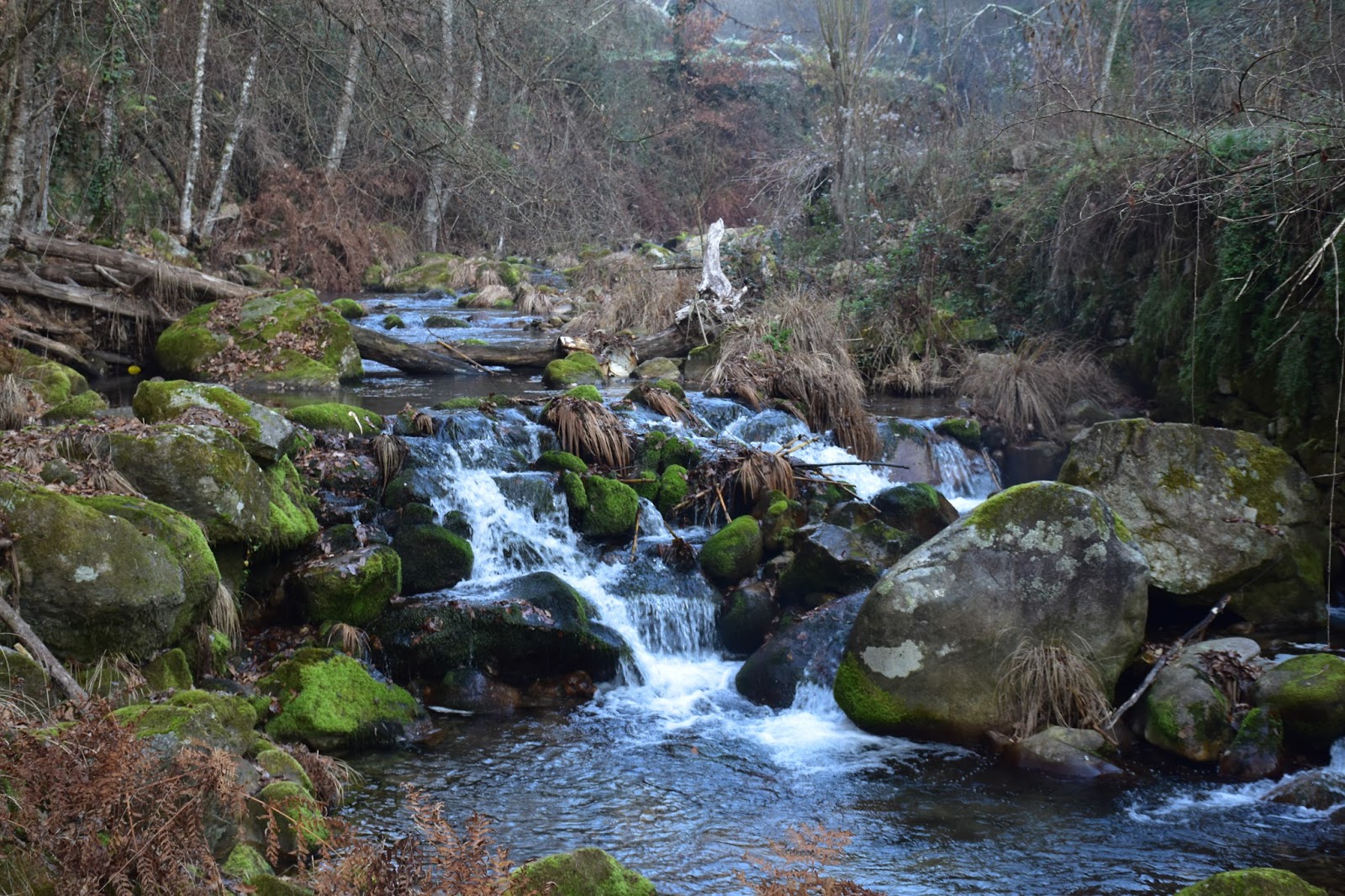 PR6 - Trilho dos Amiais