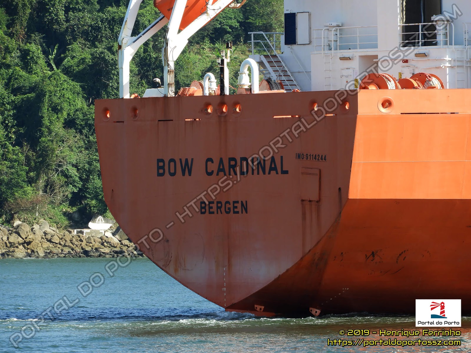 Bow Cardinal - Portal do Porto