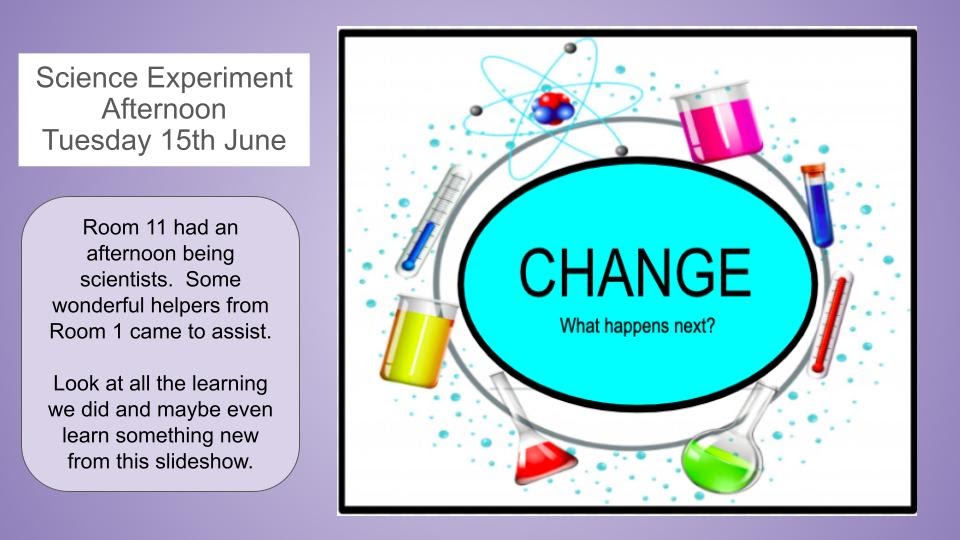 Room 11's Blog: Week 7 - Science Experiment Day