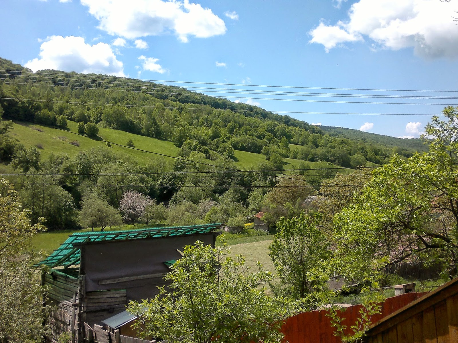 MANASTIRI-CALATORI : VALEA ZALANULUI..