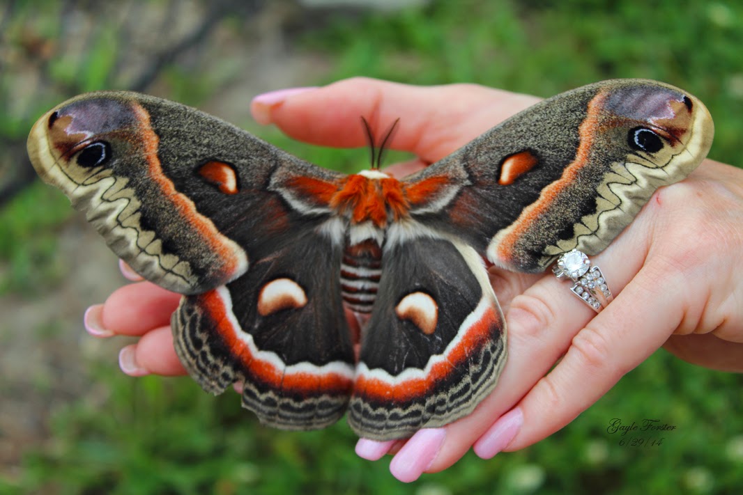 All About Beautiful Moments : Treasured Find