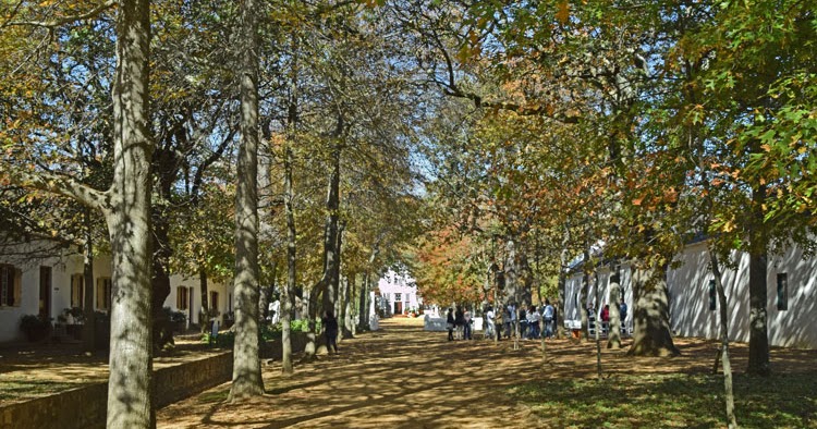 .: This Week's MENU. Aslina wine launch, supper at Lily's, Morgenster ...