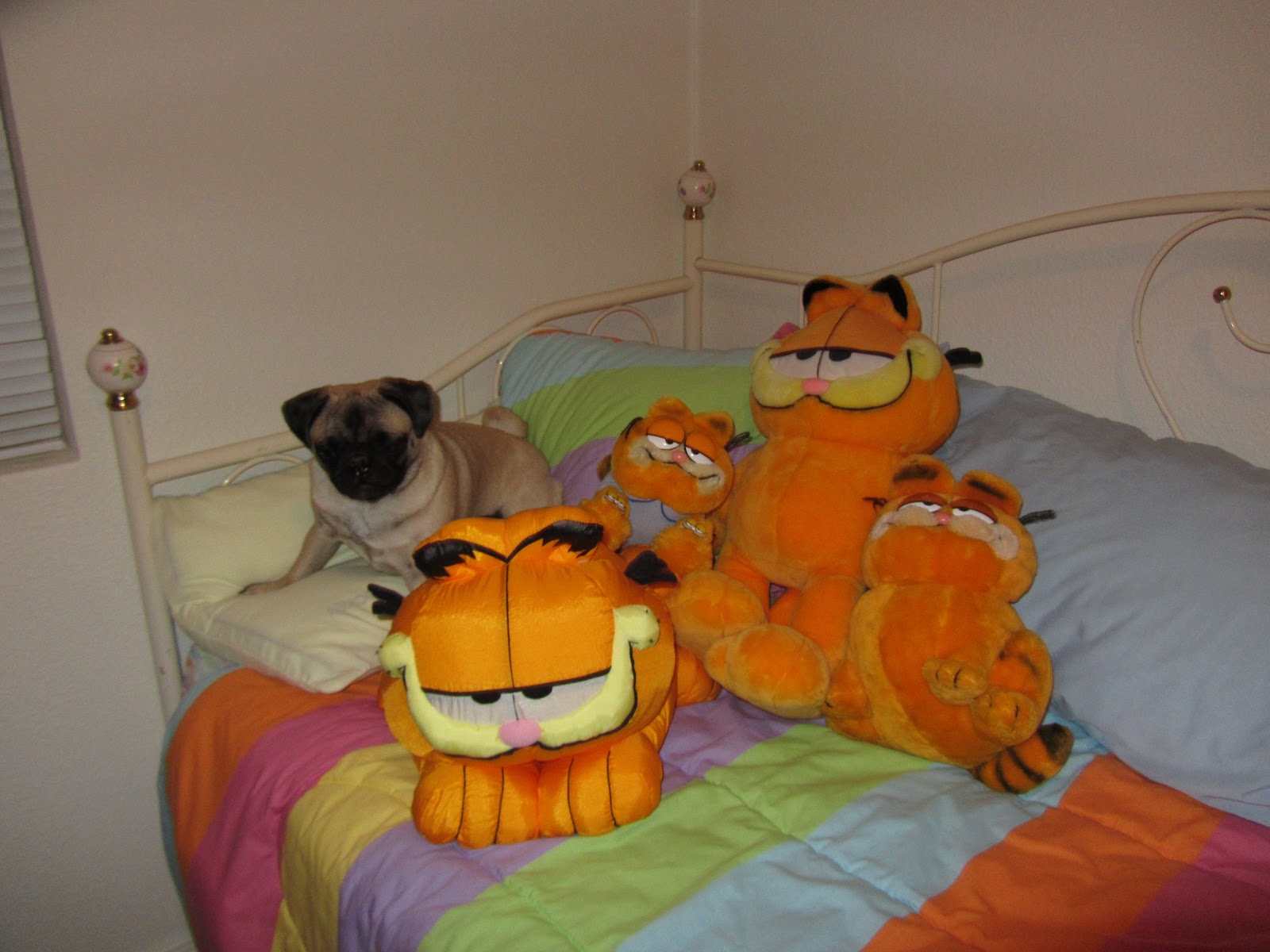 Idaho PugRanch: The Garfield Room