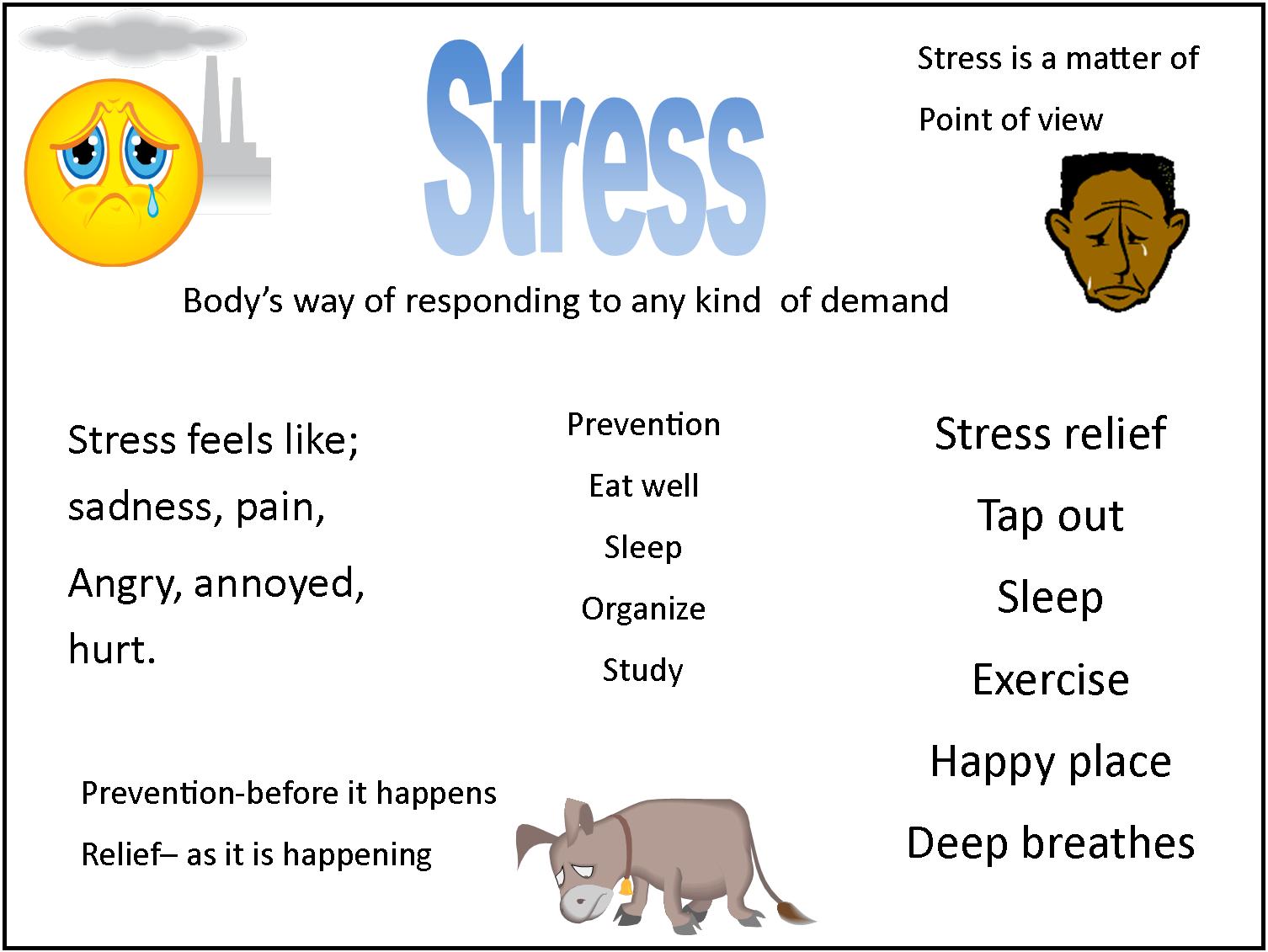 O'Leary FACS: 8th Grade Stress Men and Flyers