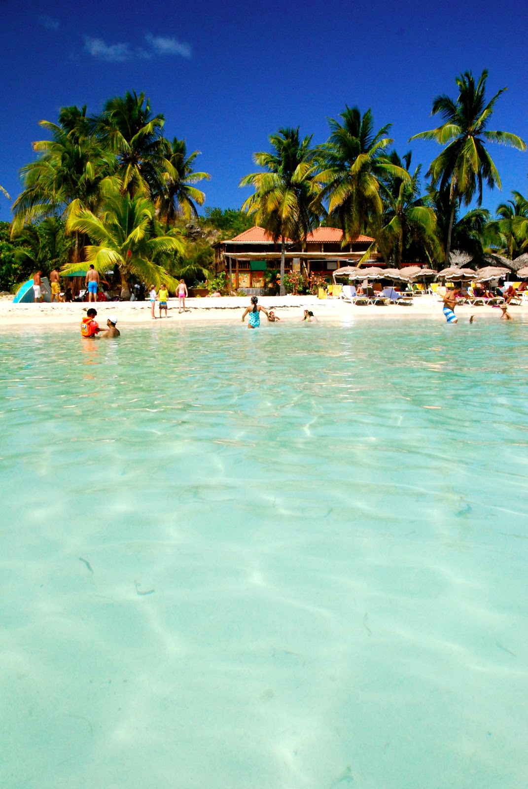 Wanderlust Traveler: Pinel Island, St. Martin