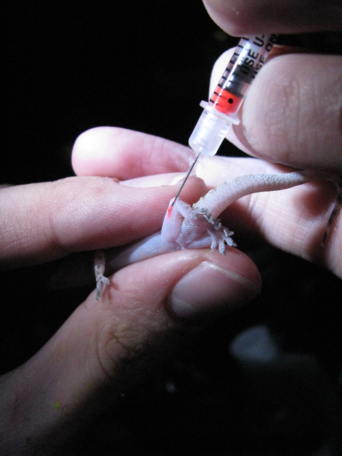 Life is short, but snakes are long: July 2012