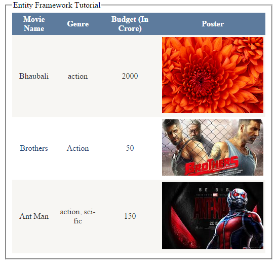 Entity Framework Fetch Records And Display In Gridview Aspmantra Asp Mvc