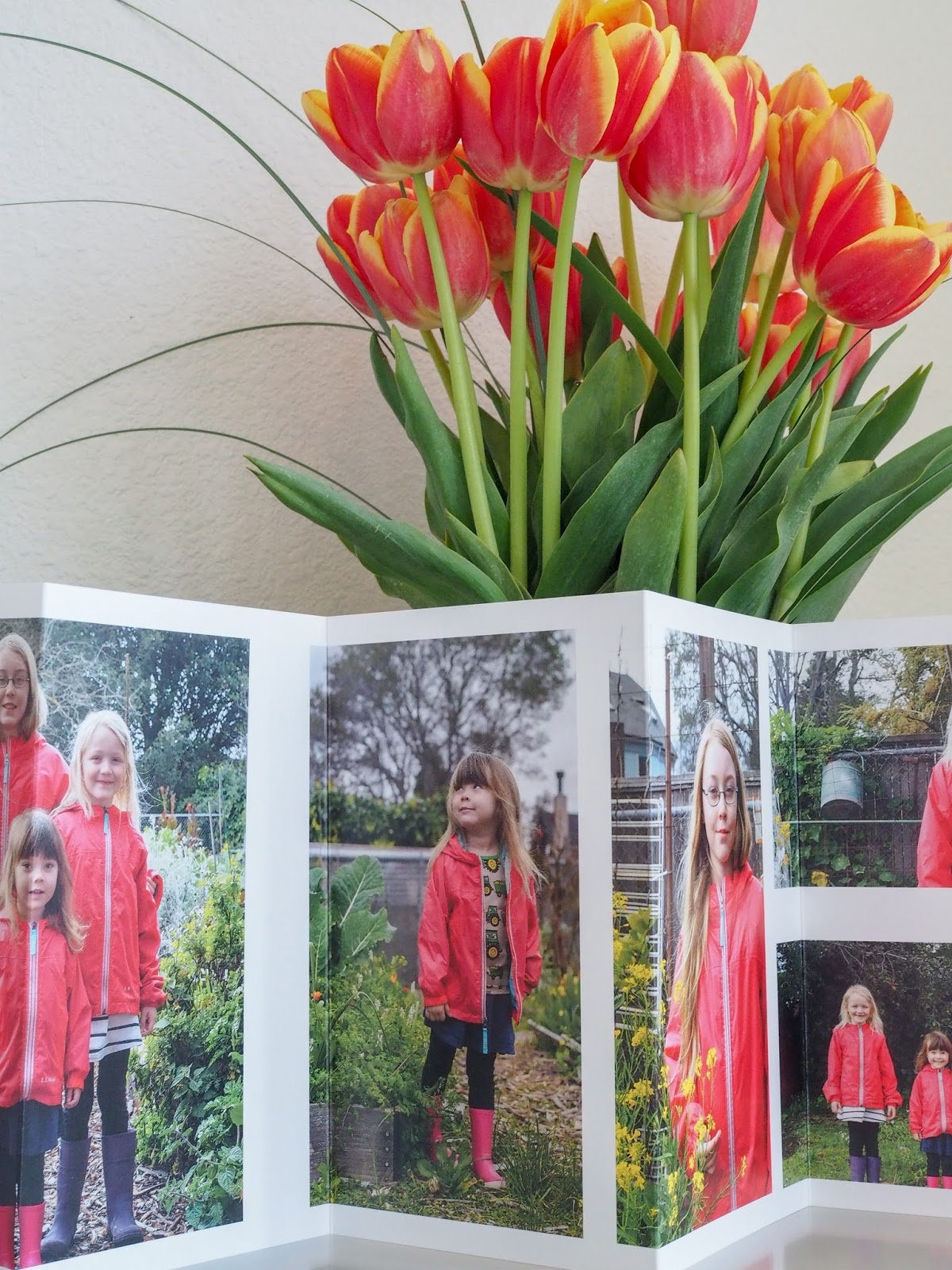 Little Hiccups: Magic Blooming Flowers for Mother's Day