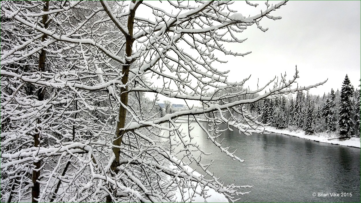 Northern Interior British Columbia: Winter On The Morice River Houston ...