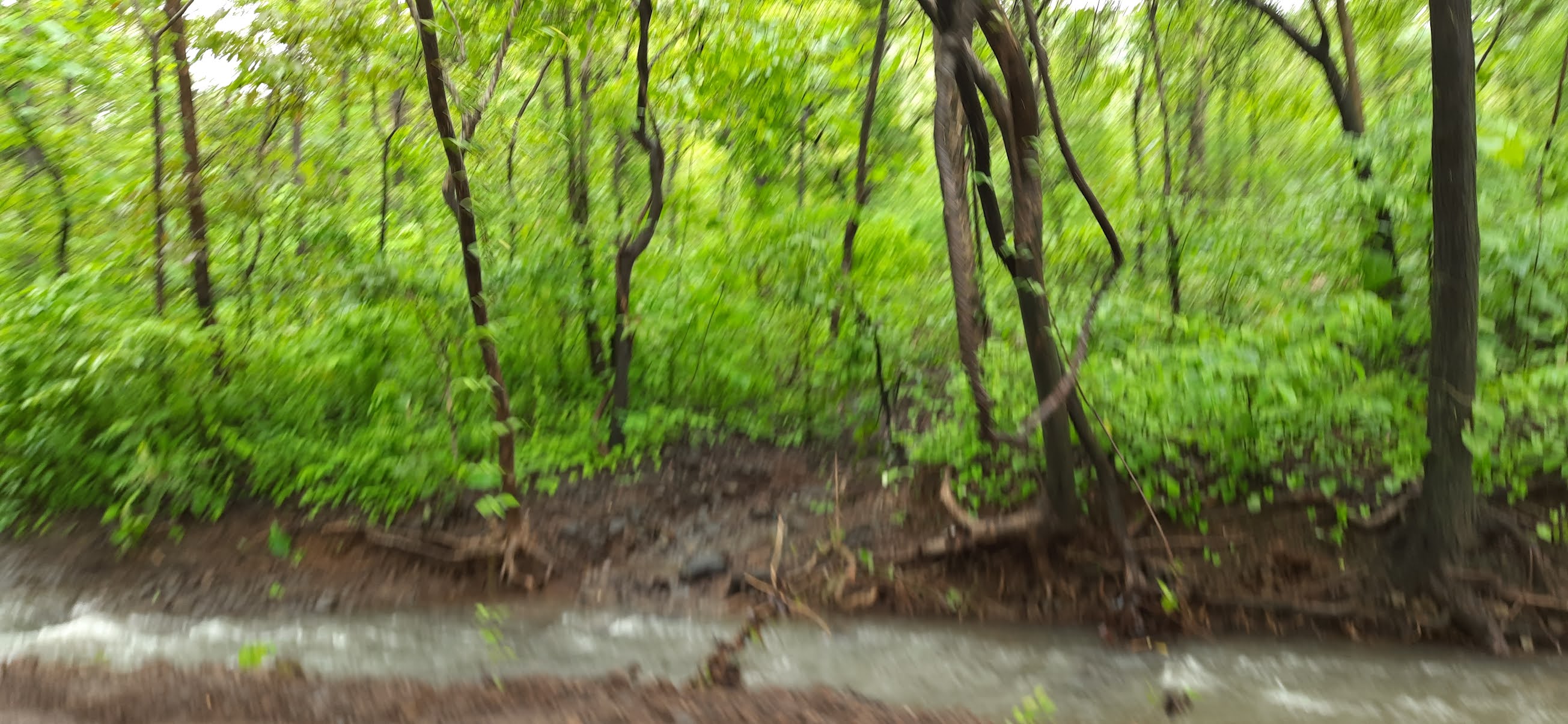 Sharad Pandhare's Educational Blog: Incredible Nature