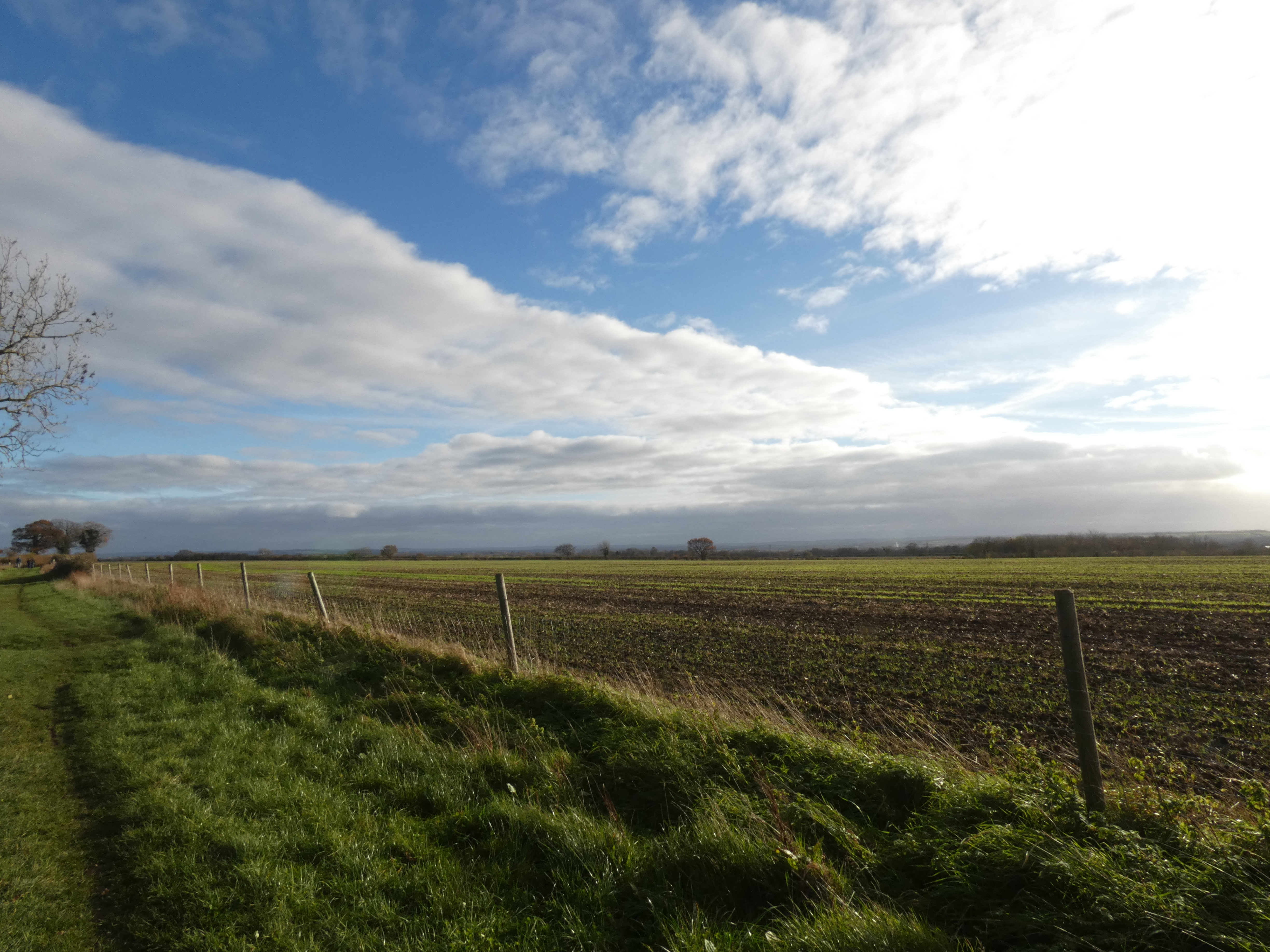 Boz North's Trail - Walking Blog: Whaddon to Cambridge via The Wimpole ...