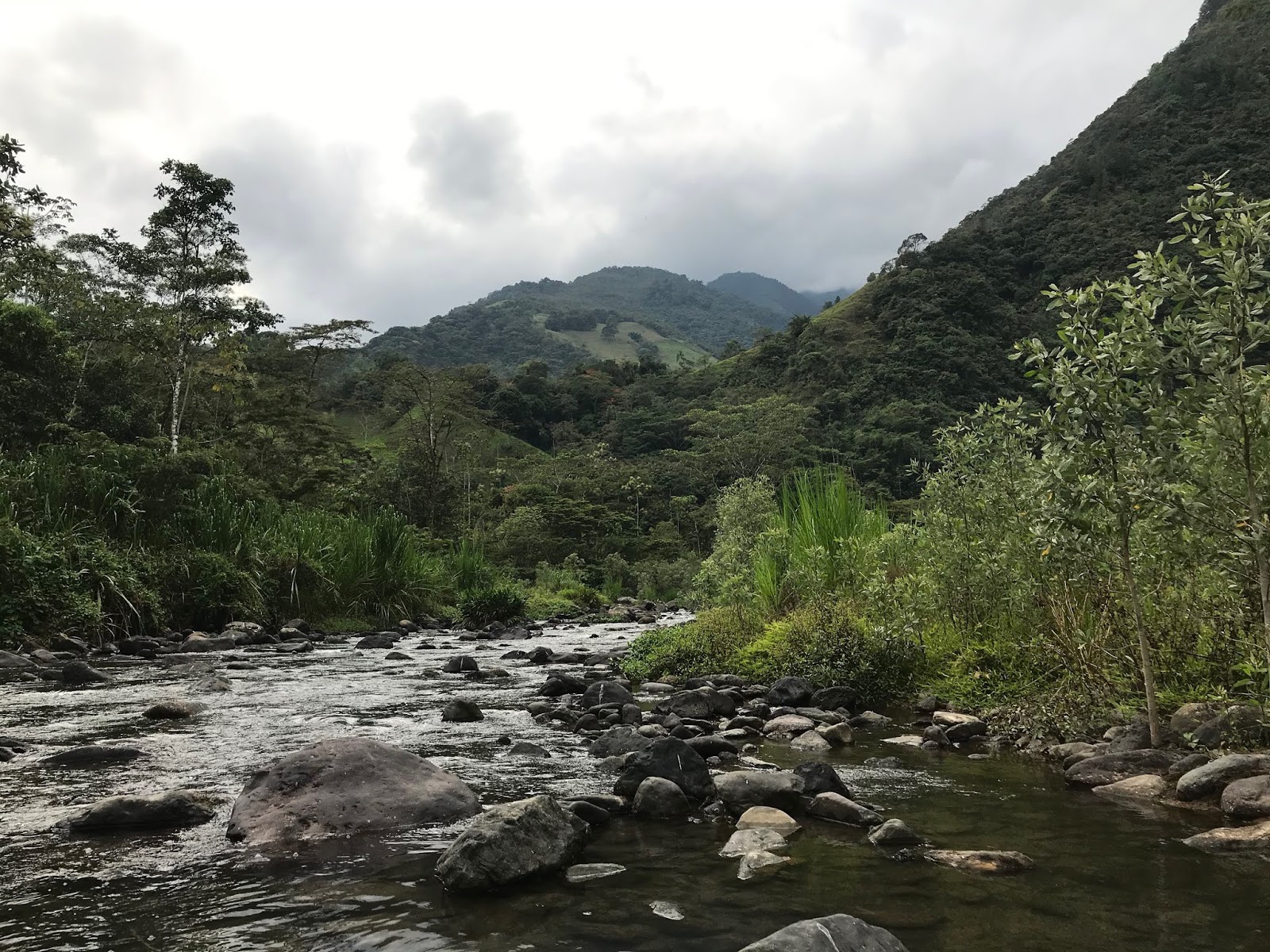 Explorations of an Ecologist: Santa Maria - a Gem in the Eastern Andes ...