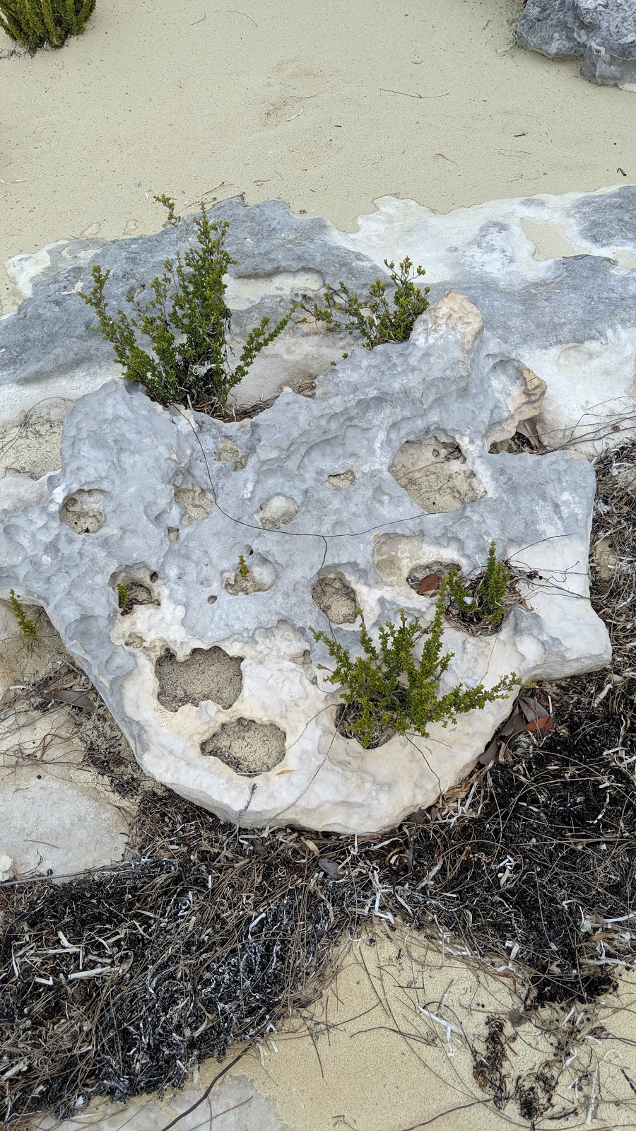 Meeks Patch, Eleuthera, Bahamas