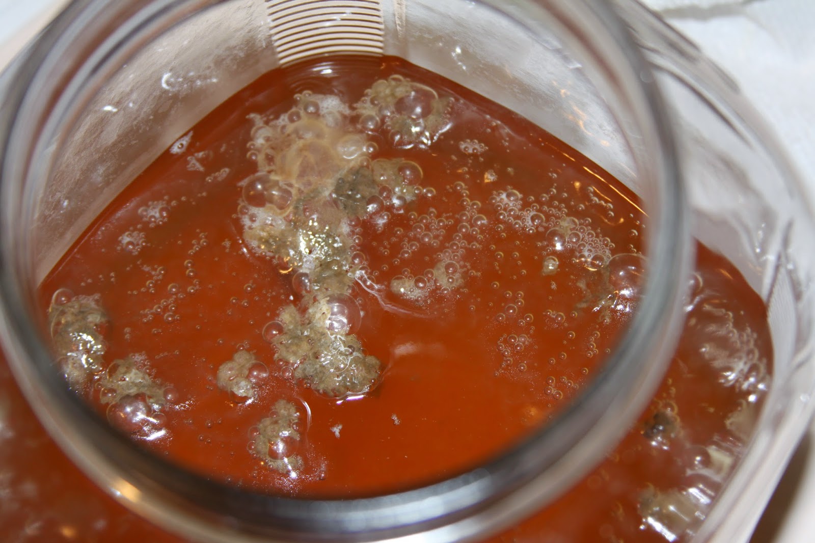 The Homemade Housewife: Homemade SCOBY for Making Kombucha