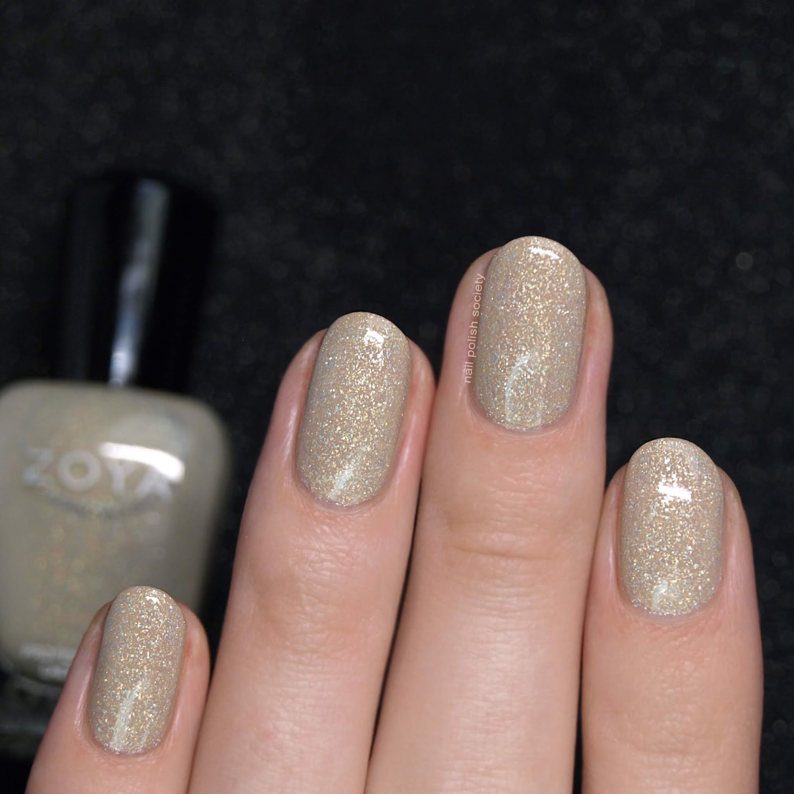 Nail Polish Society: Zoya Winter Holographics Shades