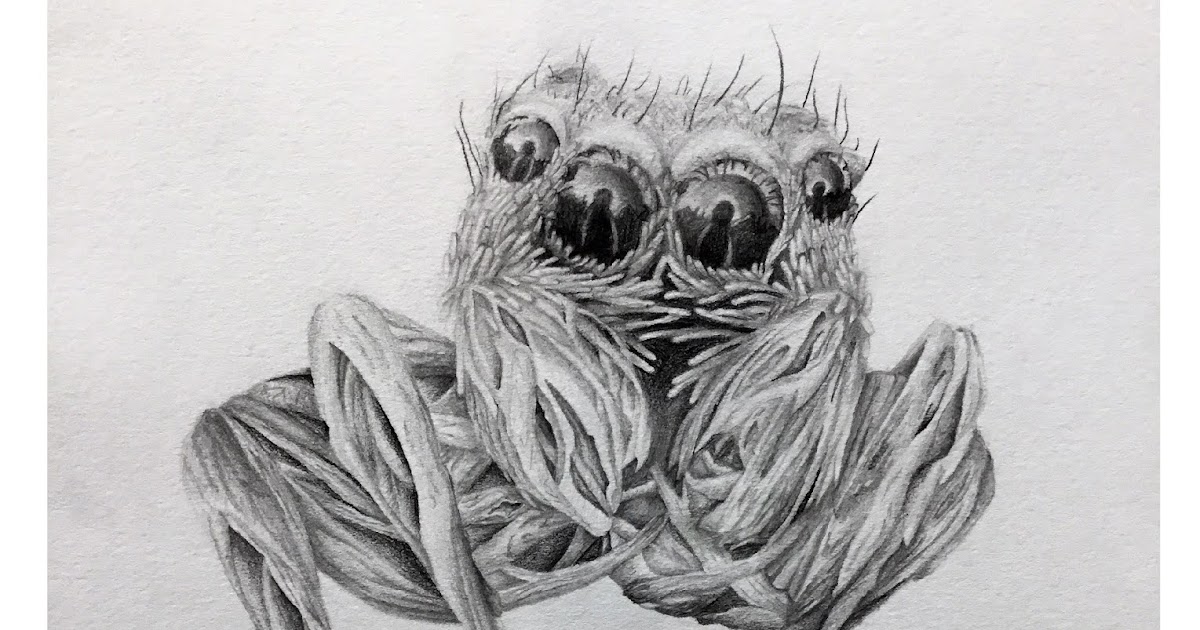 fineartasfc: More Amazing Biomorphic Drawing - Fabulous Grace