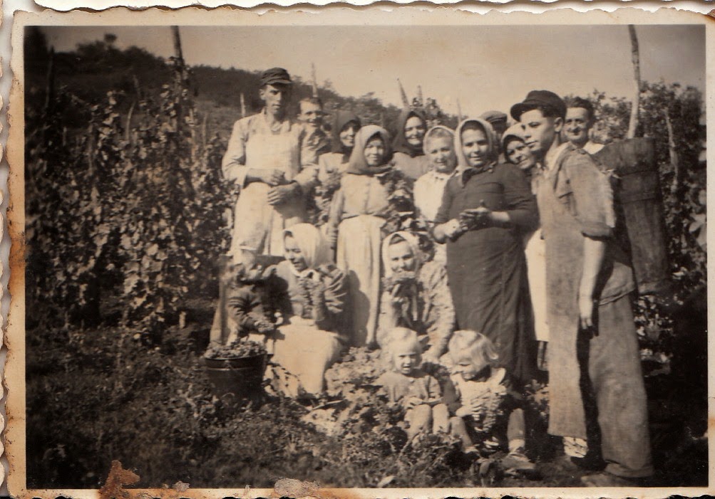 Ştiinţă pentru toţi: Câteva imagini din Valea Lungă (jud. Alba)