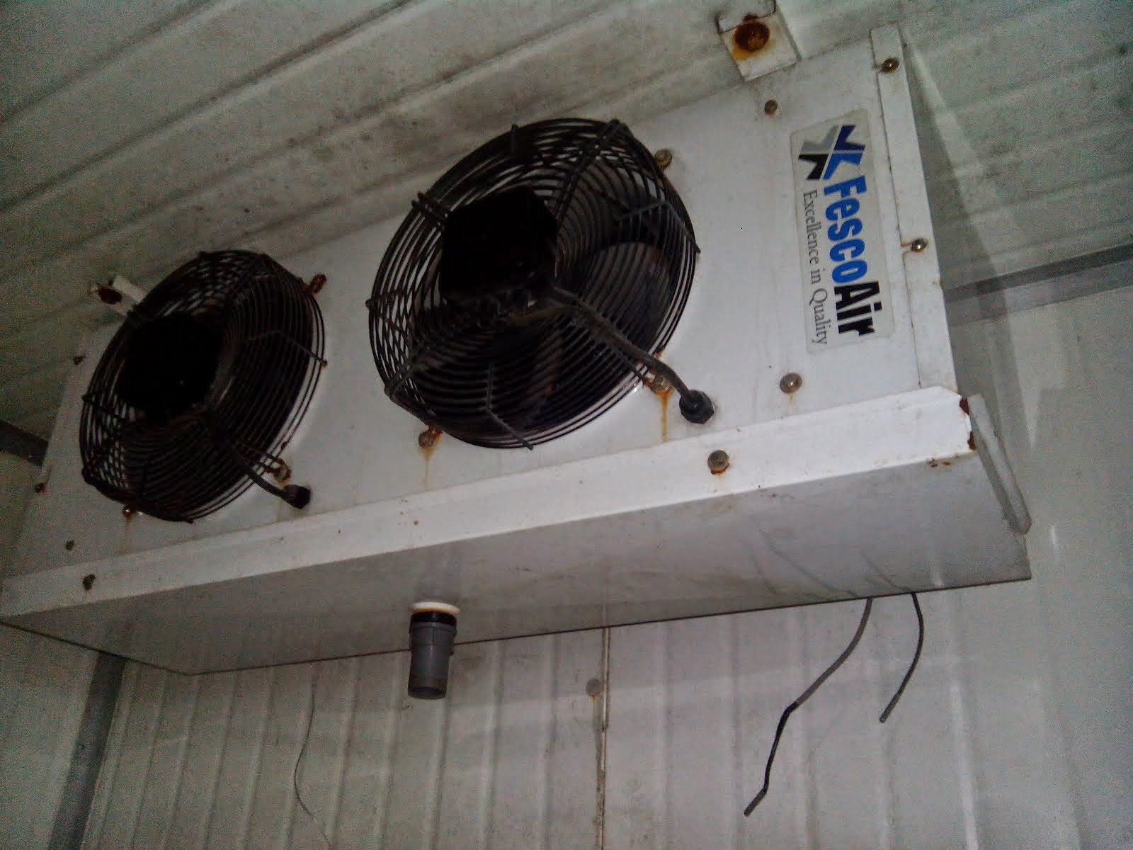 COLD STORAGE BLAST FREEZER INDONESIA: Air Blast untuk Ikan Daging di ...