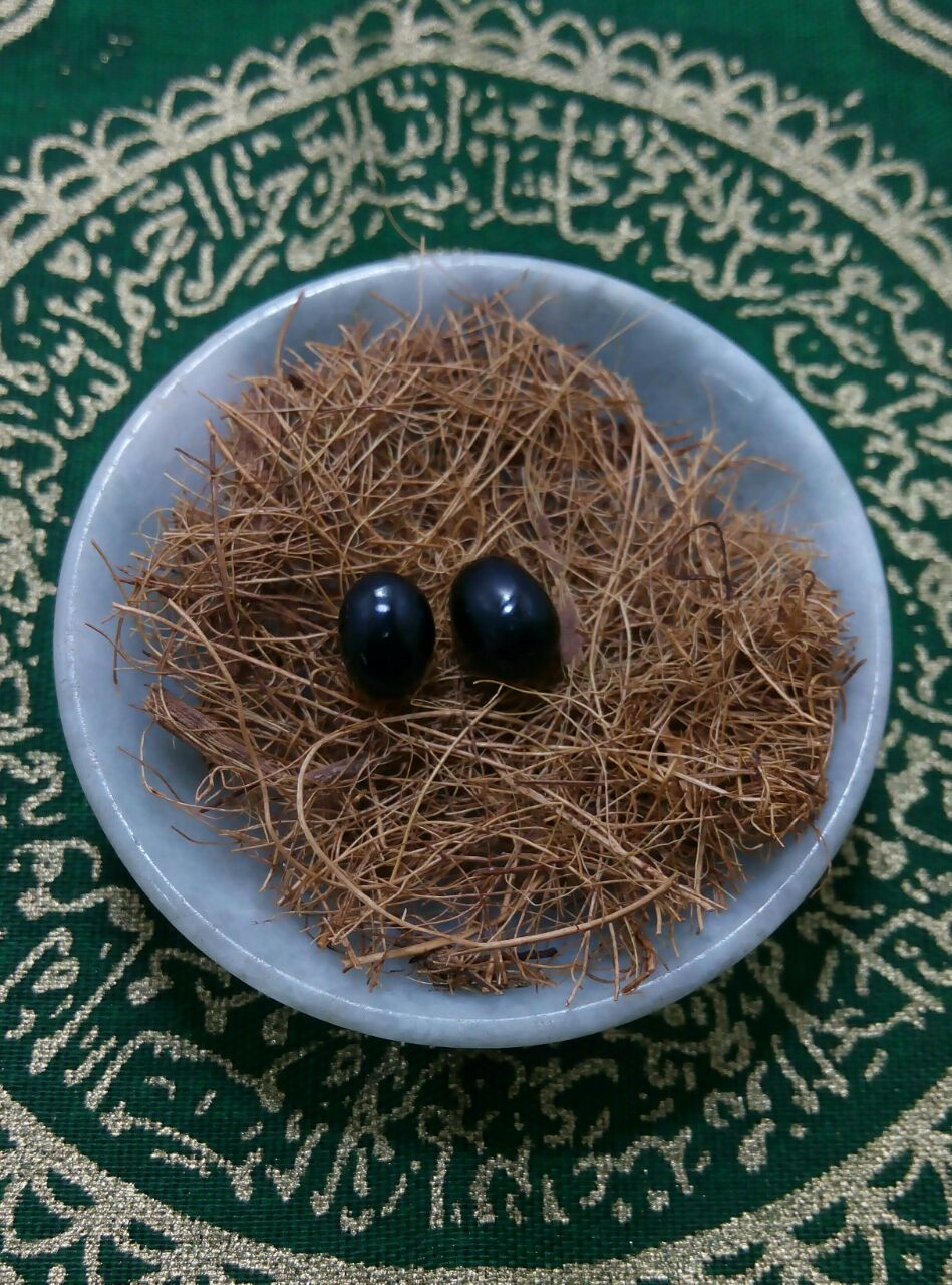 Koleksi Geliga And Khazanah Asli Geliga Ular Tedung Selar Hitam