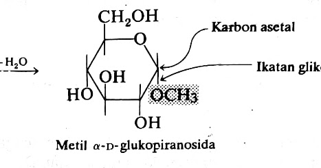 Belajar Memgenal Ikatan Glikosida