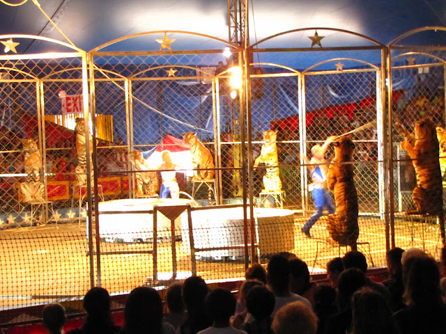 Photos of the Day: The Circus & Fireworks