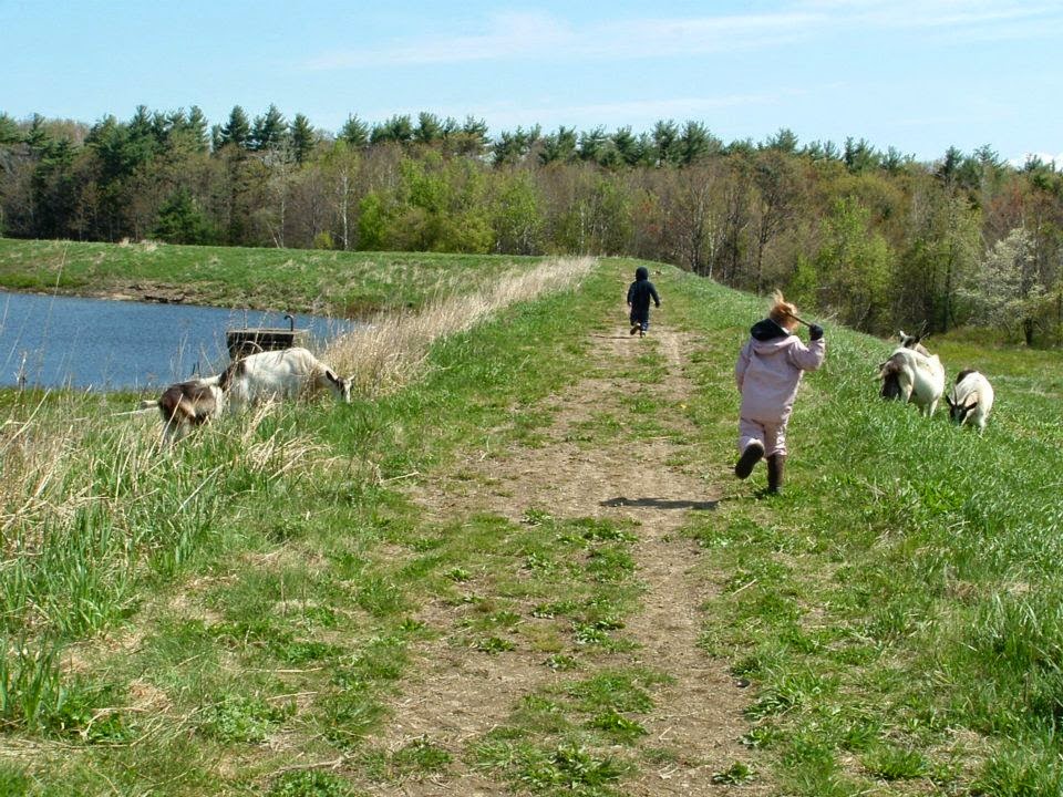 Ebenezer Farm: Photos from around the Farm