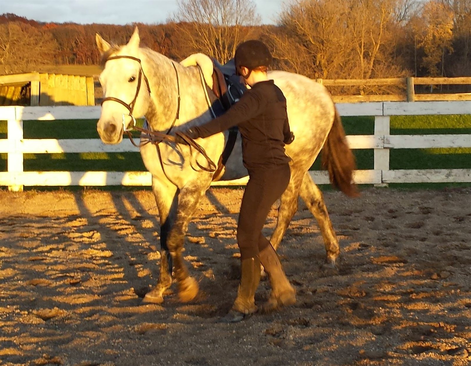 ALPHA Equestrian: LOOSEN UP: Two Simple Exercises to Get Your Rides Off ...