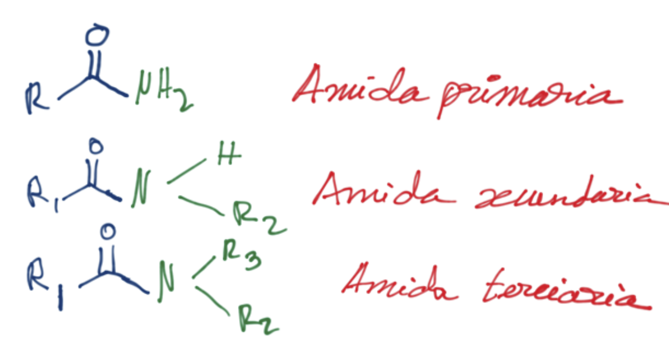 Bienvenidos a Descubrir La Química : Aminas y amidas