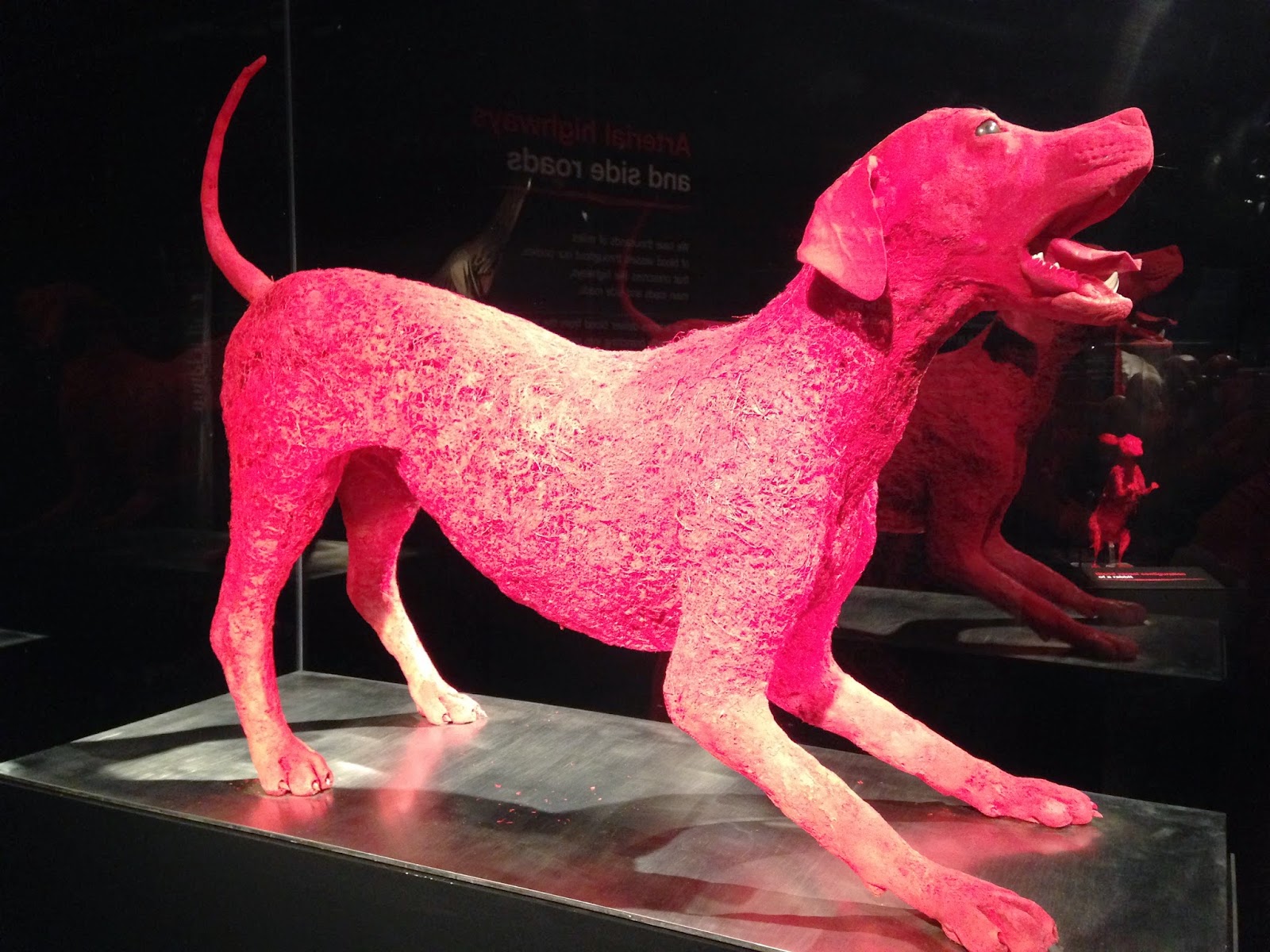 Body World's Animal Inside Out