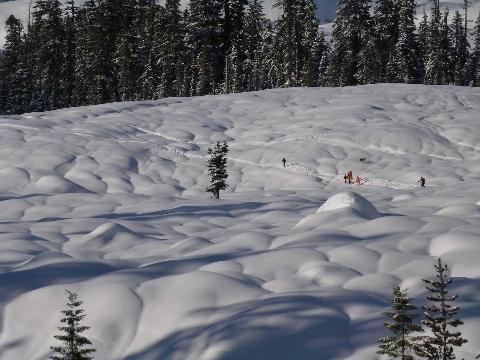 Hiking Oregon: June Lake (in Winter)