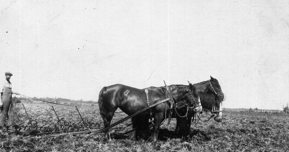 prairiemary: HARROWING