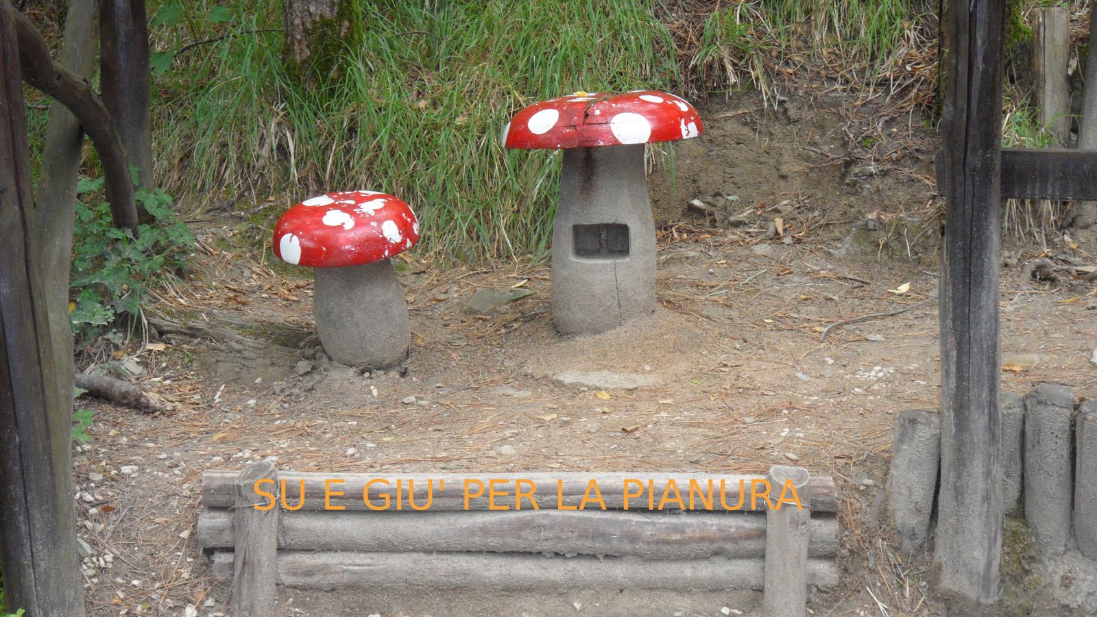 Su e giu per la Pianura Padana: Bagno di Romagna: gnomi, foreste e ...