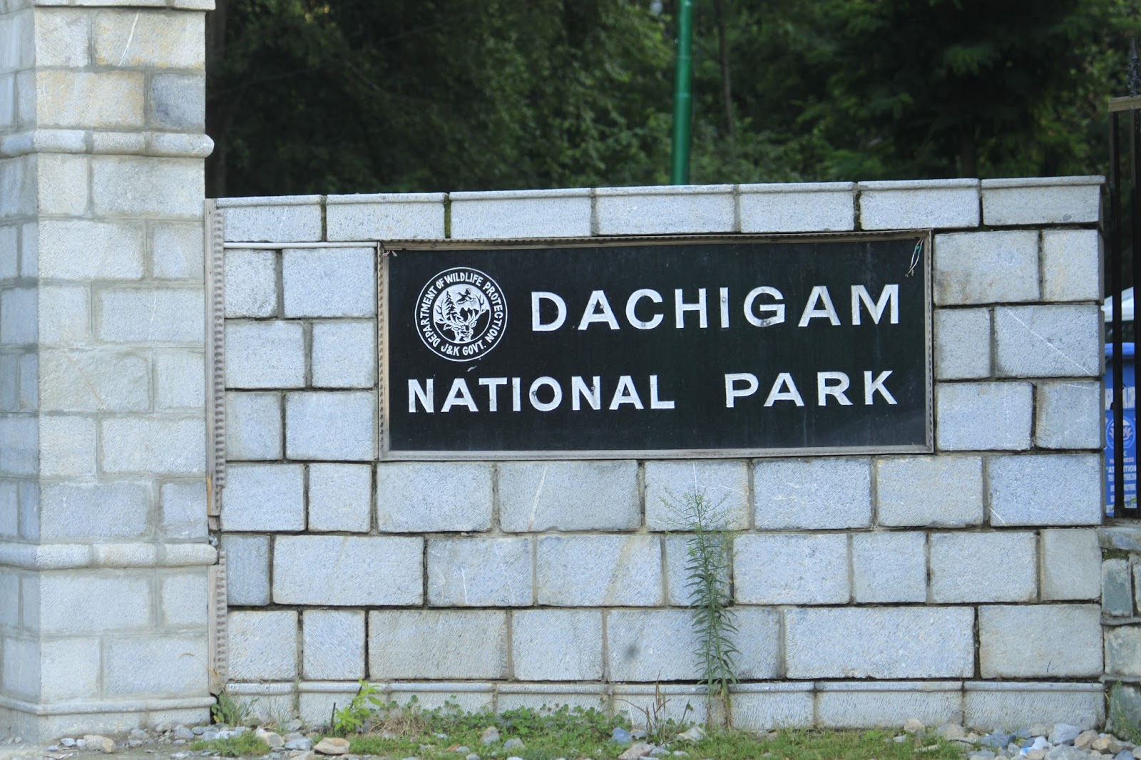 Winged jewels: Dachigam National Park, the heart of Kashmir!