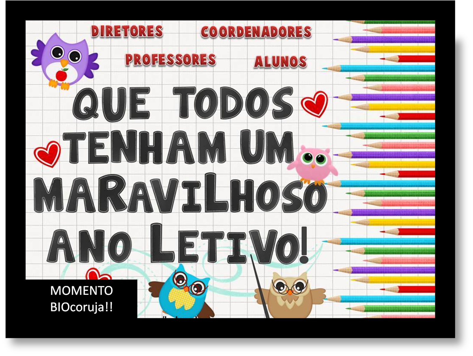 bioLUgando: UM ÓTIMO ANO LETIVO PARA NÓS!!