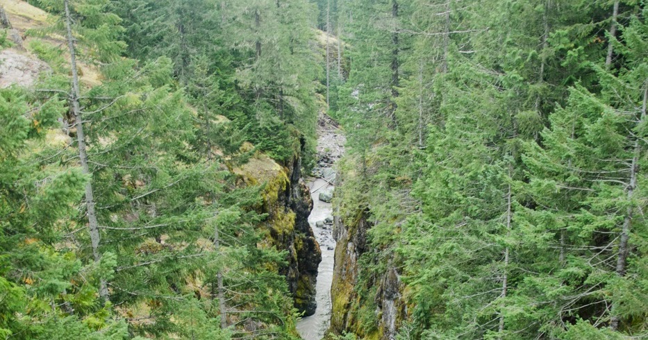 Pacific Northwest Photography: Mt. Rainier National Park: Box Canyon