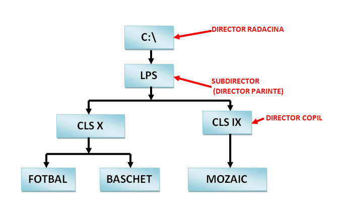 lectieticinfo: Operatii cu fisiere si foldere